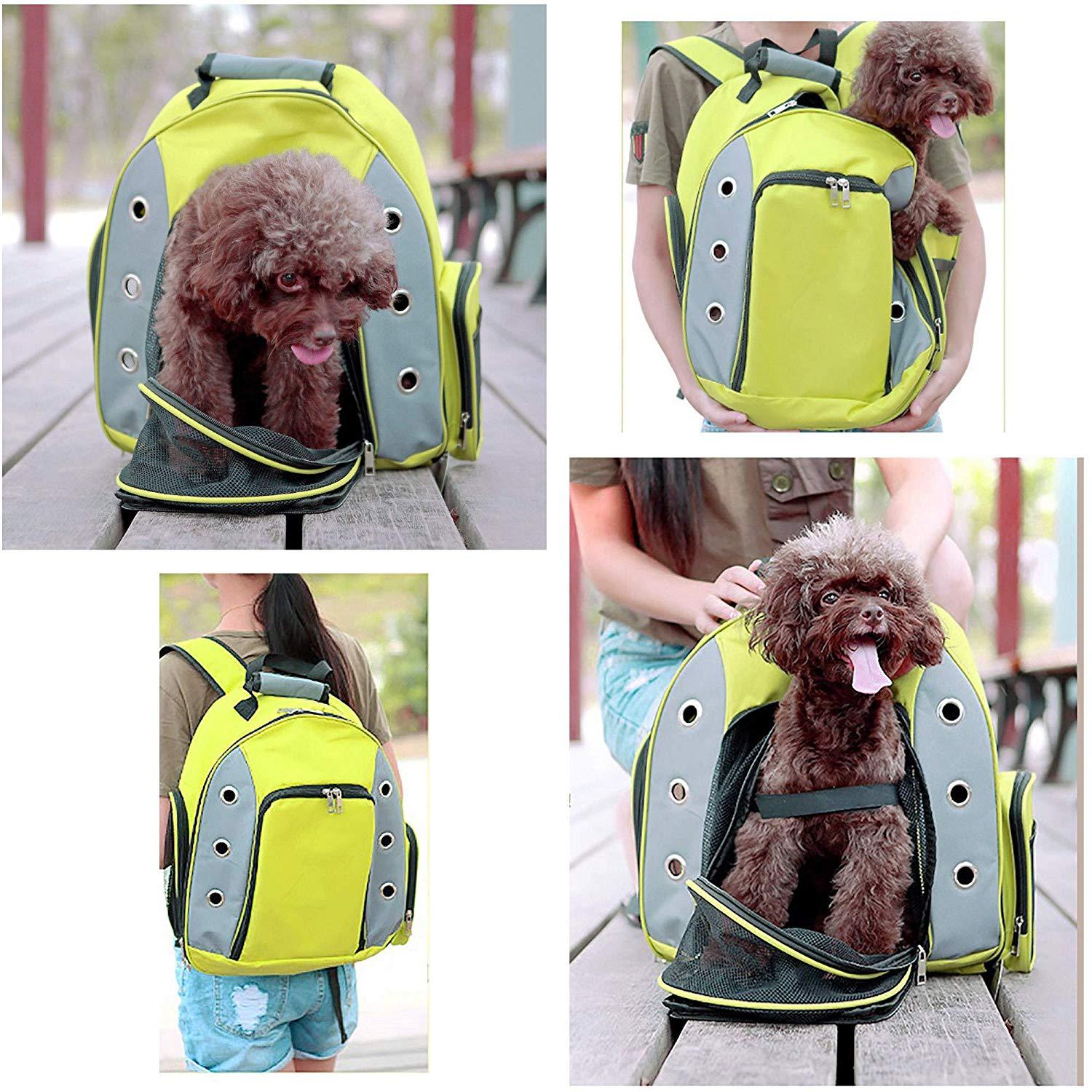 Foldable Pet Carrier Backpack with Breathable Mesh Window - Ultimate P
